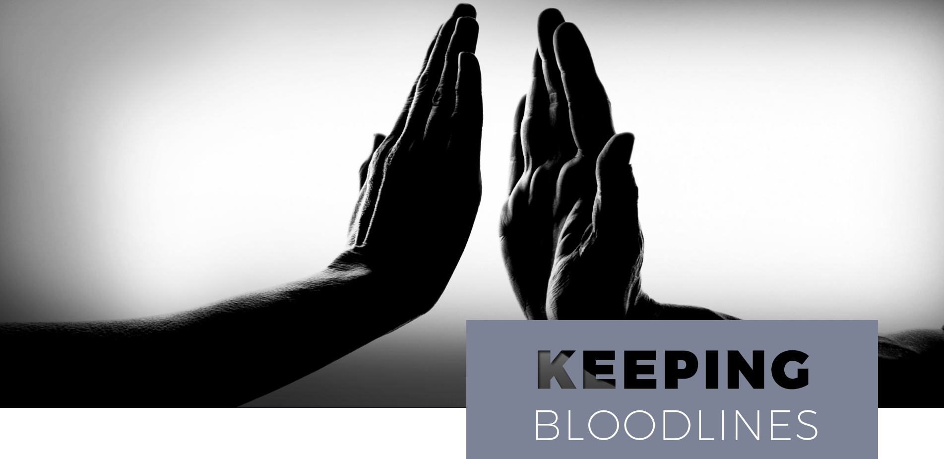 Keeping Bloodlines | Indigenous Land, Urban Stories