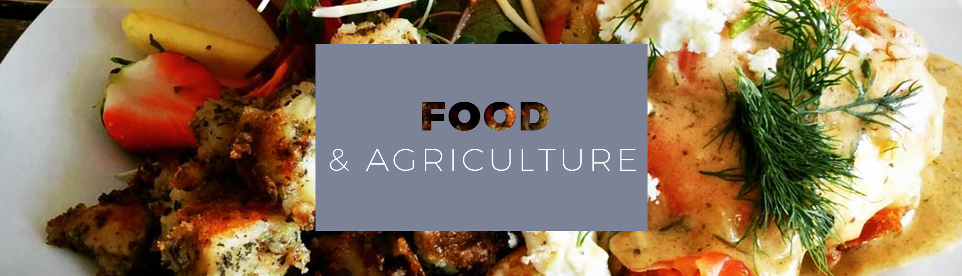 Food & Agriculture | Indigenous Land, Urban Stories